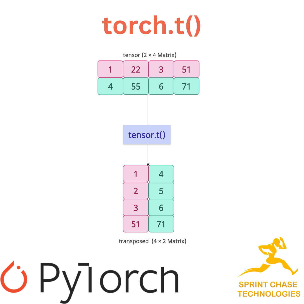 torch.t(): Transposing a 2D Tensor